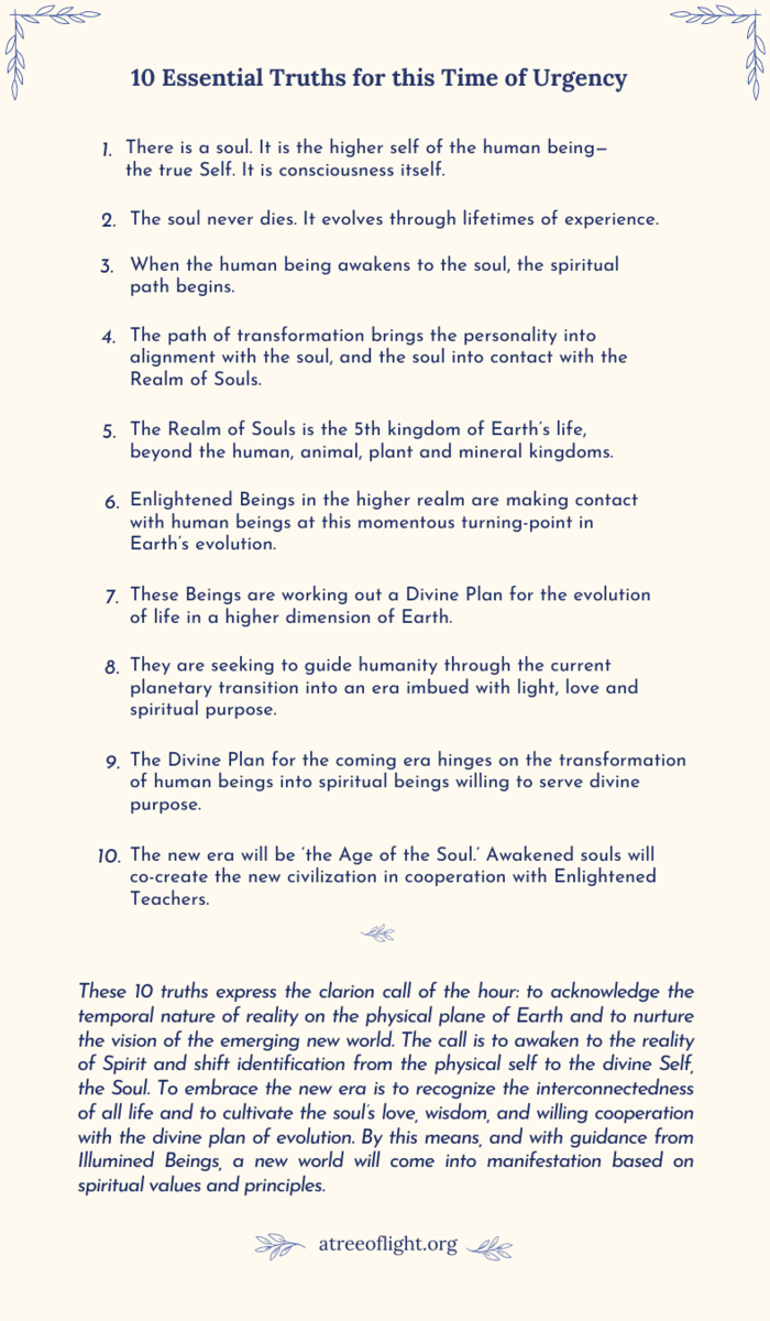 Tree of Light - Home