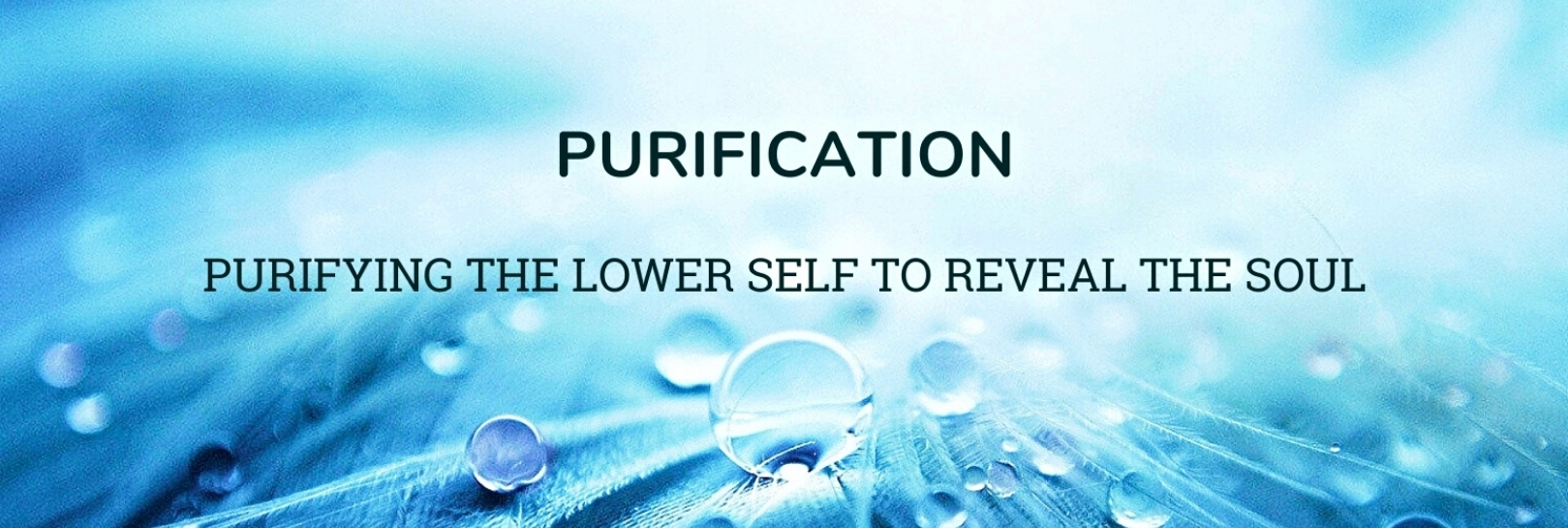 Tree of Light - 2. Purification - Purifying the lower self to reveal ...
